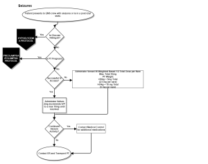 The EMS Treatment of Seizures – georgiaemsacademy.com