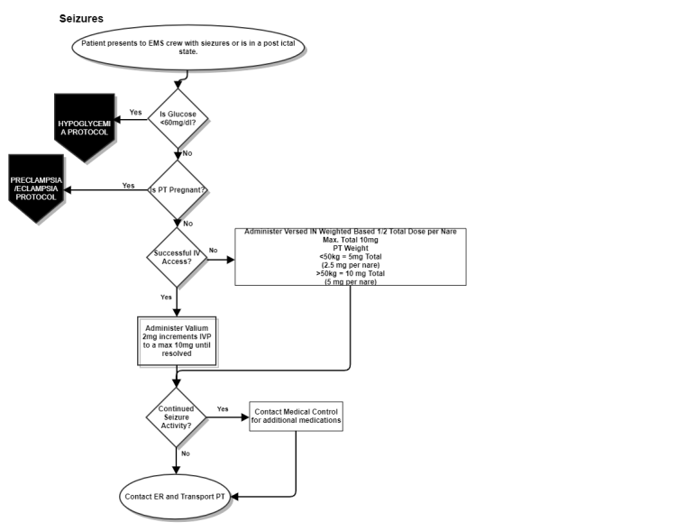 The EMS Treatment of Seizures – georgiaemsacademy.com