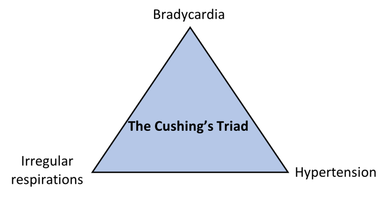 Cushing’s Triad – georgiaemsacademy.com