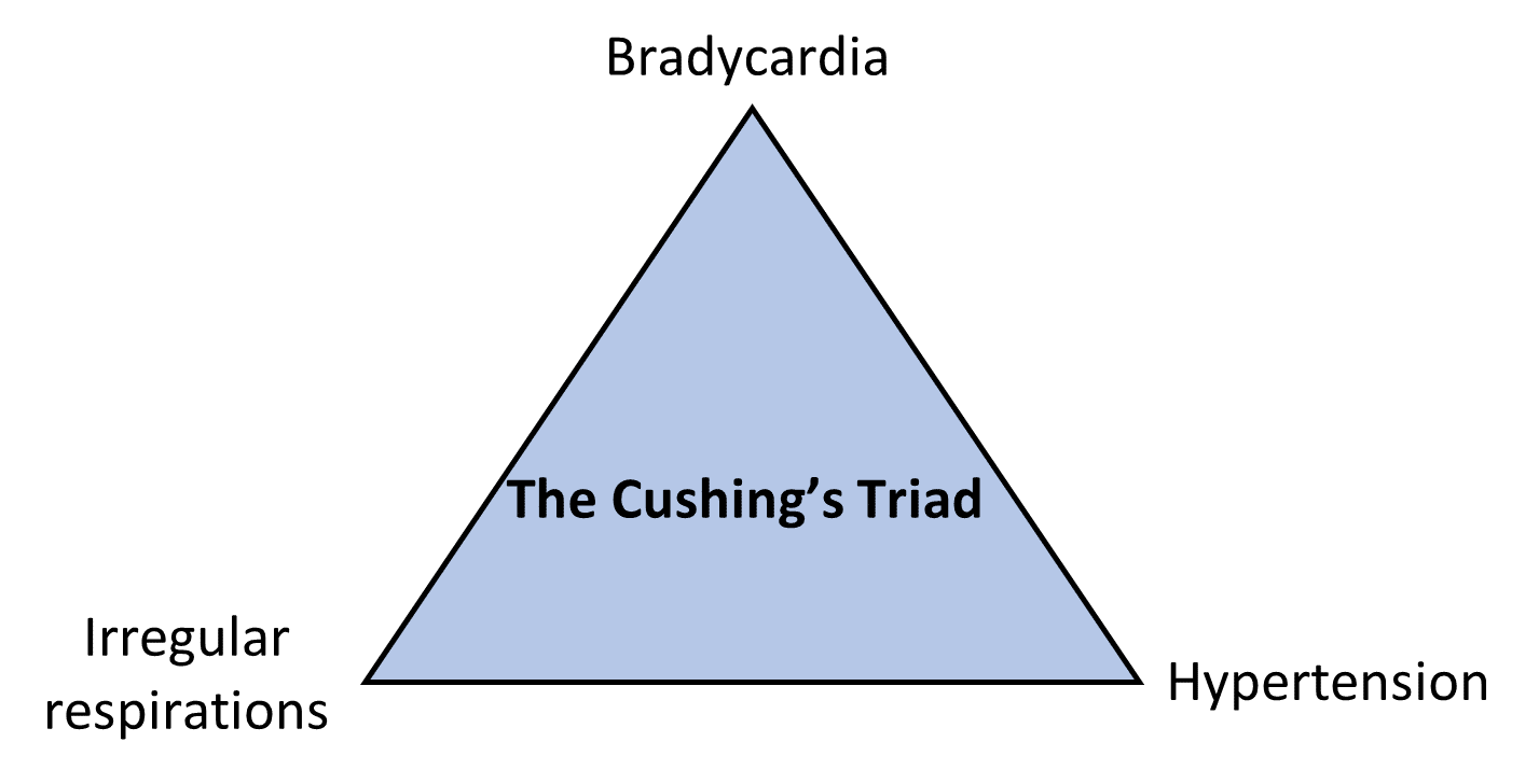 Cushing’s Triad – georgiaemsacademy.com